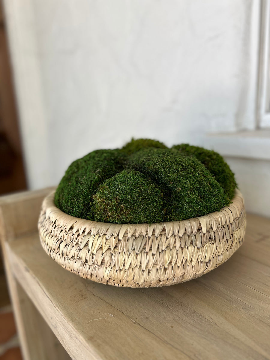 Moss Mounds in Date Leaf Basket – Molly Wood Garden Design