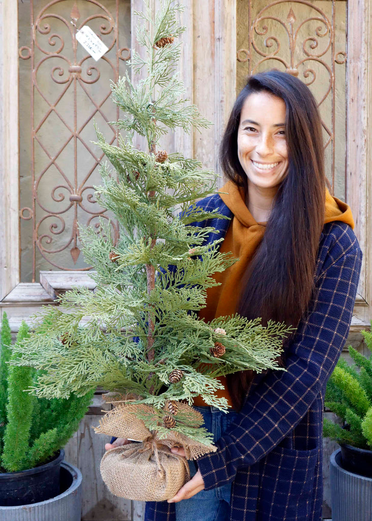 Products – Molly Wood Garden Design